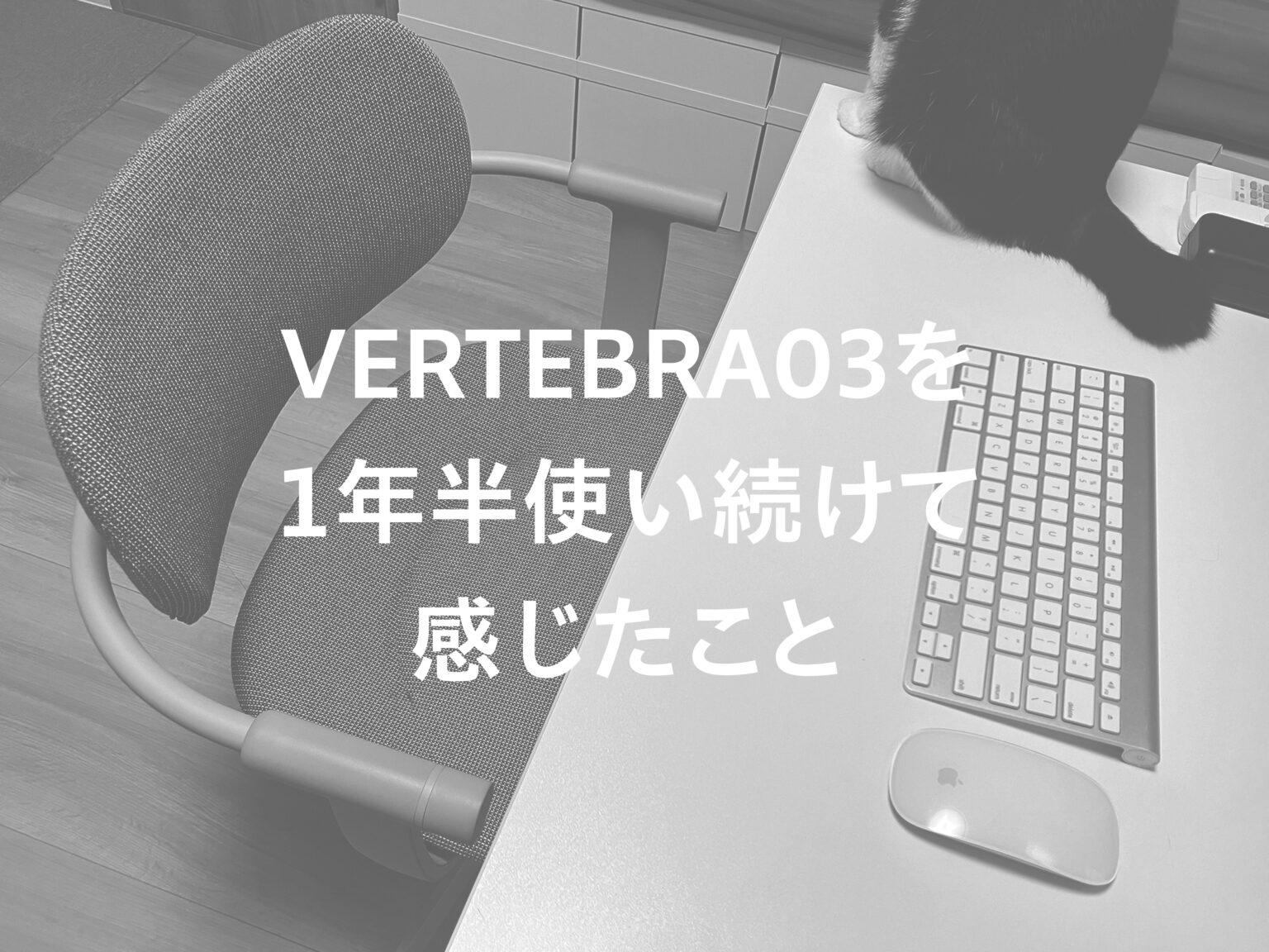 VERTEBRA03（バーテブラ03） を1年半使い続けて感じたこと | 手放すん